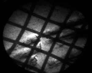 PEEM - Photo Electron Emission Microscope - STAIB INSTRUMENTS